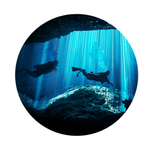 Nectar Loyalty Programme - Nectar360